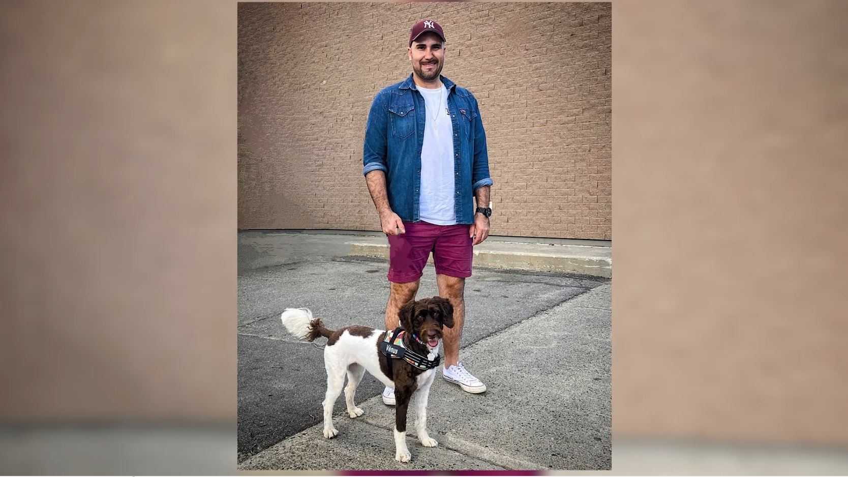 Le Clébard - Marcheur de chien arrive en ville - Noovo Abitibi ...